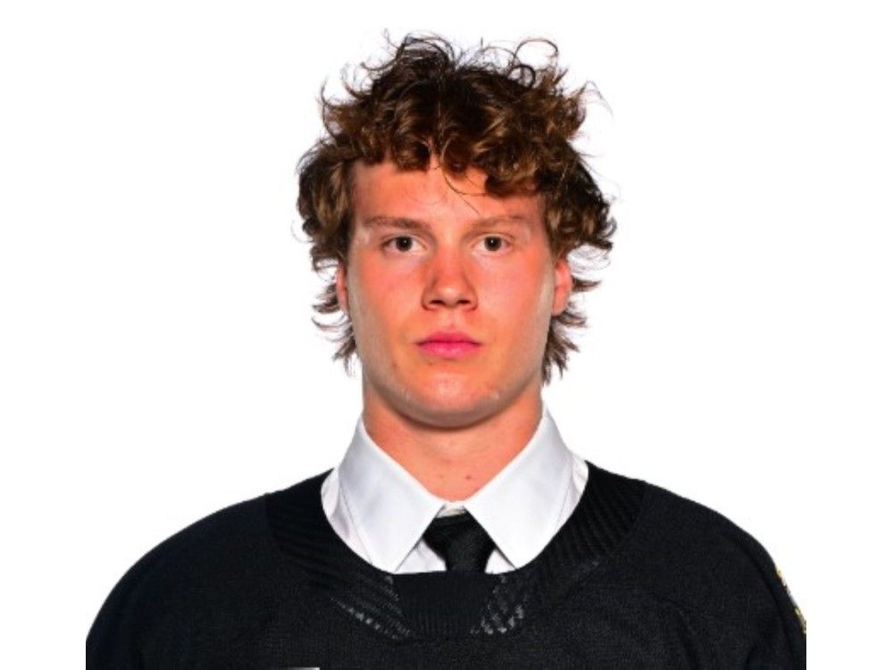 Marek Vanacker set to return to Brantford Bulldogs lineup this weekend ...