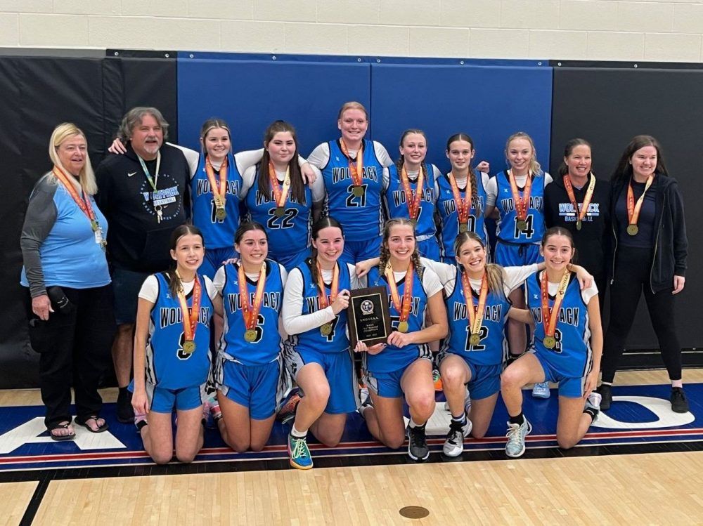 Great Lakes Wolfpack on the hunt for OFSAA basketball medal | The ...