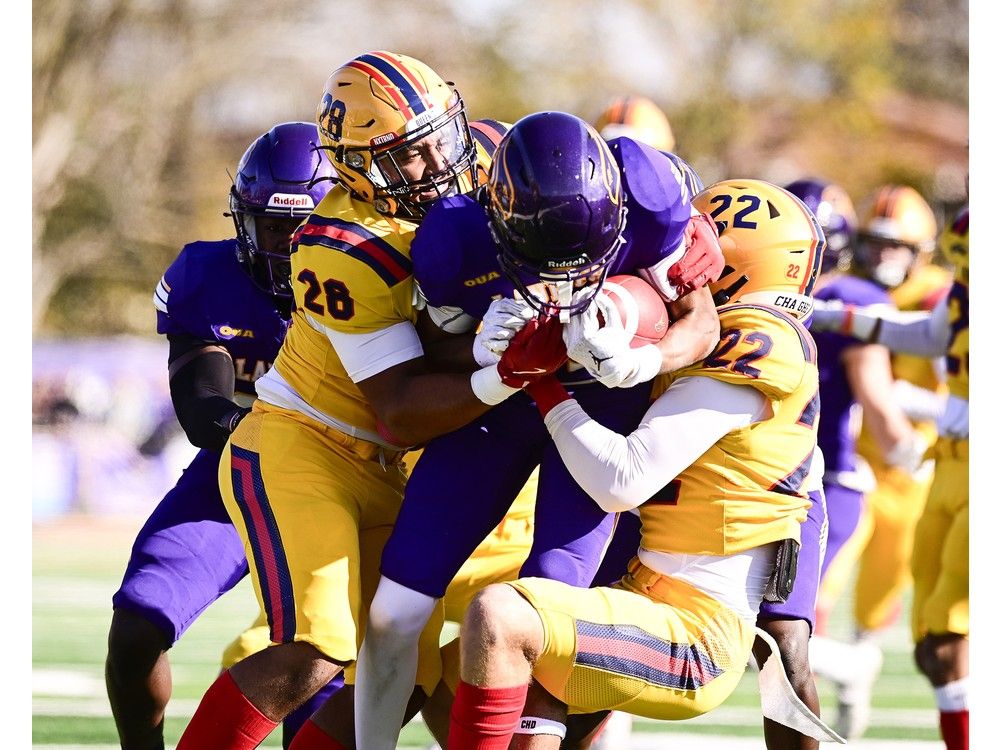 Golden Hawks overcome Queen's Gaels in OUA semi-final | The Kingston ...