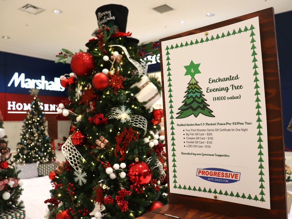 Sarnia's Tamara's Trees of Hope fundraiser supports suicide prevention ...