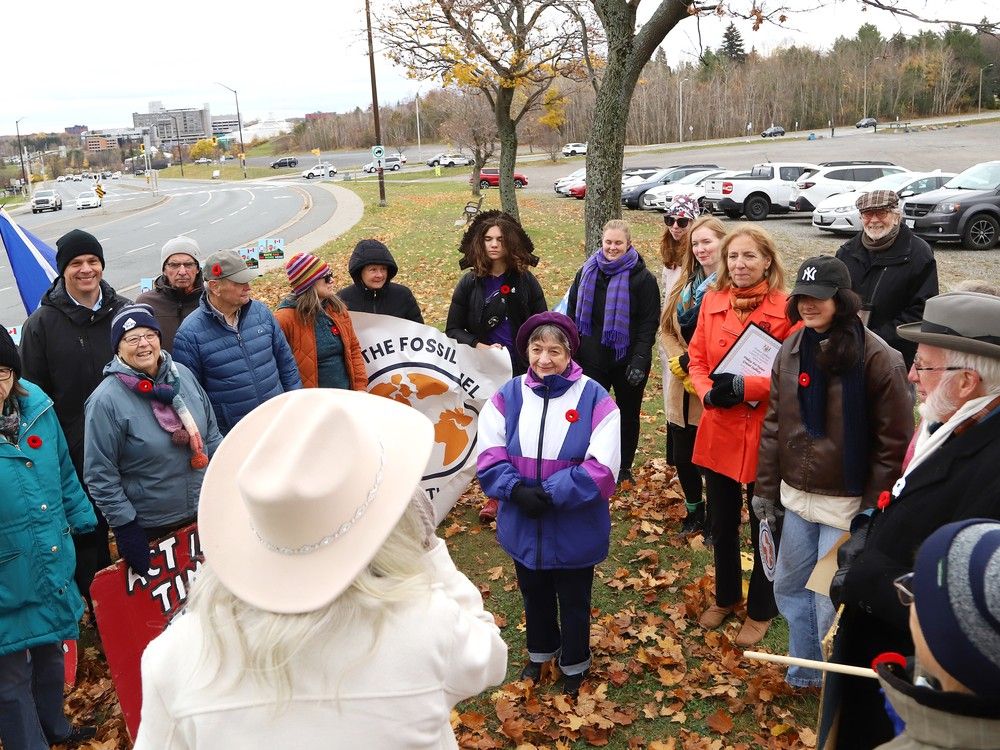 Gallery: Climate change activists in Sudbury hold rally | Sudbury Star