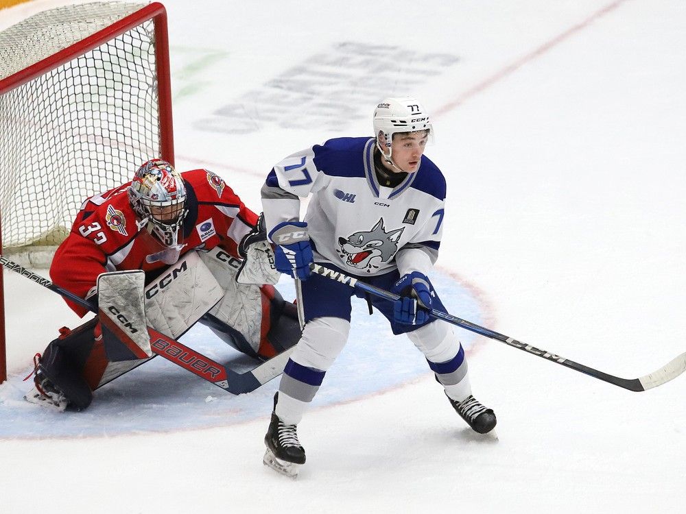 Rowan Henderson pots winner as Sudbury Wolves double Niagara on road ...