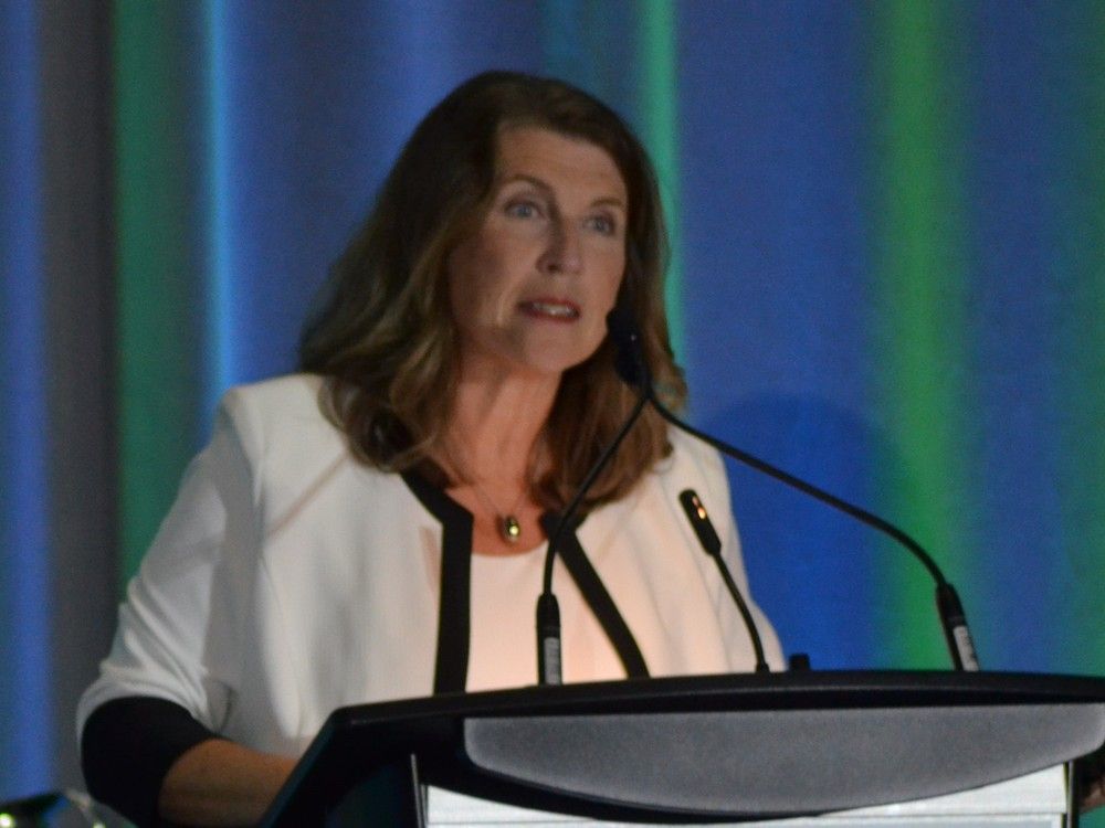 Year in review: A Q&A with Mayor Kate Rogers | Telegraph-Journal