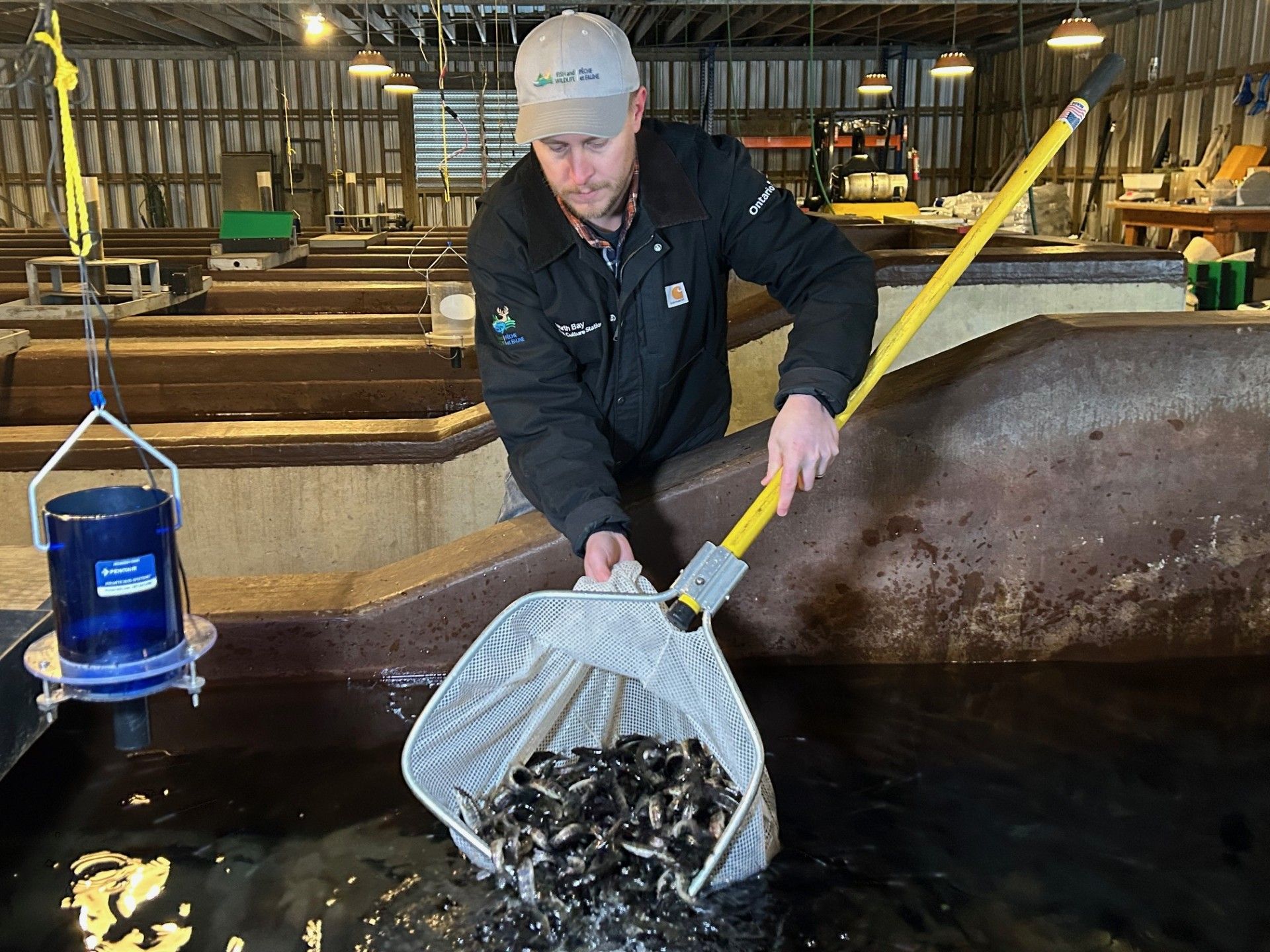 North Bay part of "historic" $75 million announcement | North Bay Nugget