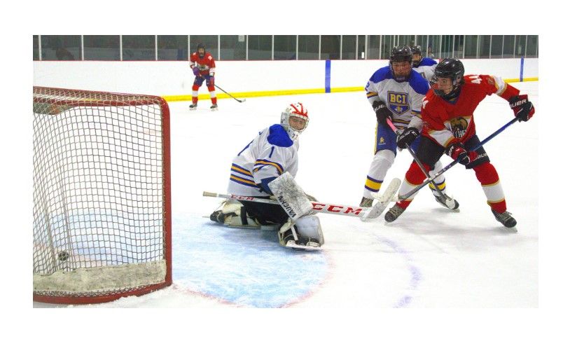 Mustangs earn 'gritty' tie against Panthers in high school boys hockey ...
