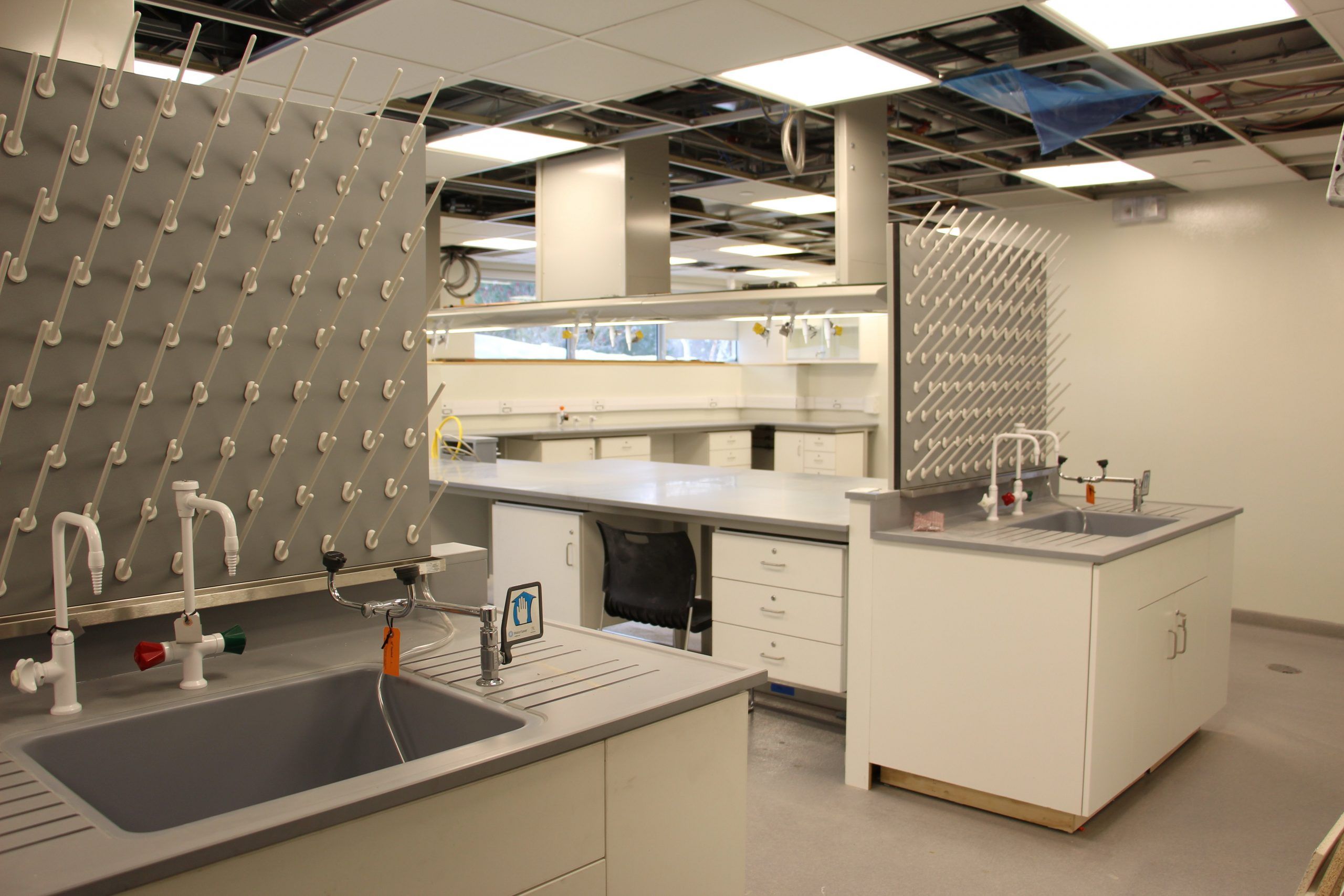 Animal testing facilities upgraded at Algoma University | Sault Star