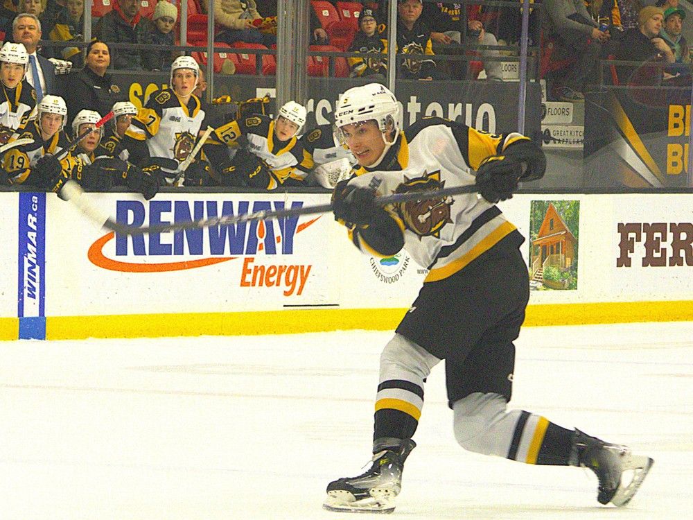 Brantford Bulldogs answer the bell against Barrie Colts | Brantford ...