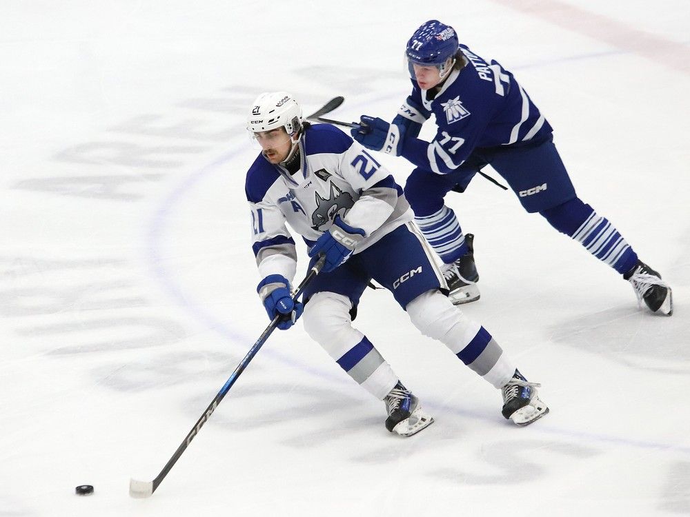 In the Wolves’ Den: Alex Pharand coming on strong for Sudbury | Sudbury ...