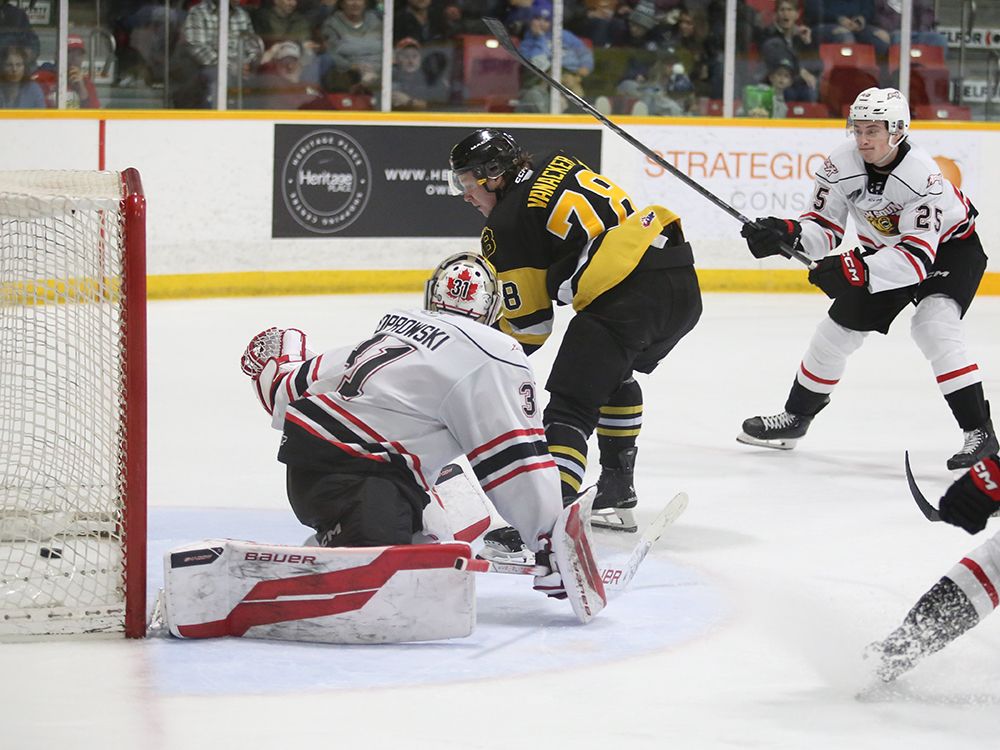 Jake O'Brien, Tomas Hamara spark Brantford Bulldogs to win | Brantford ...