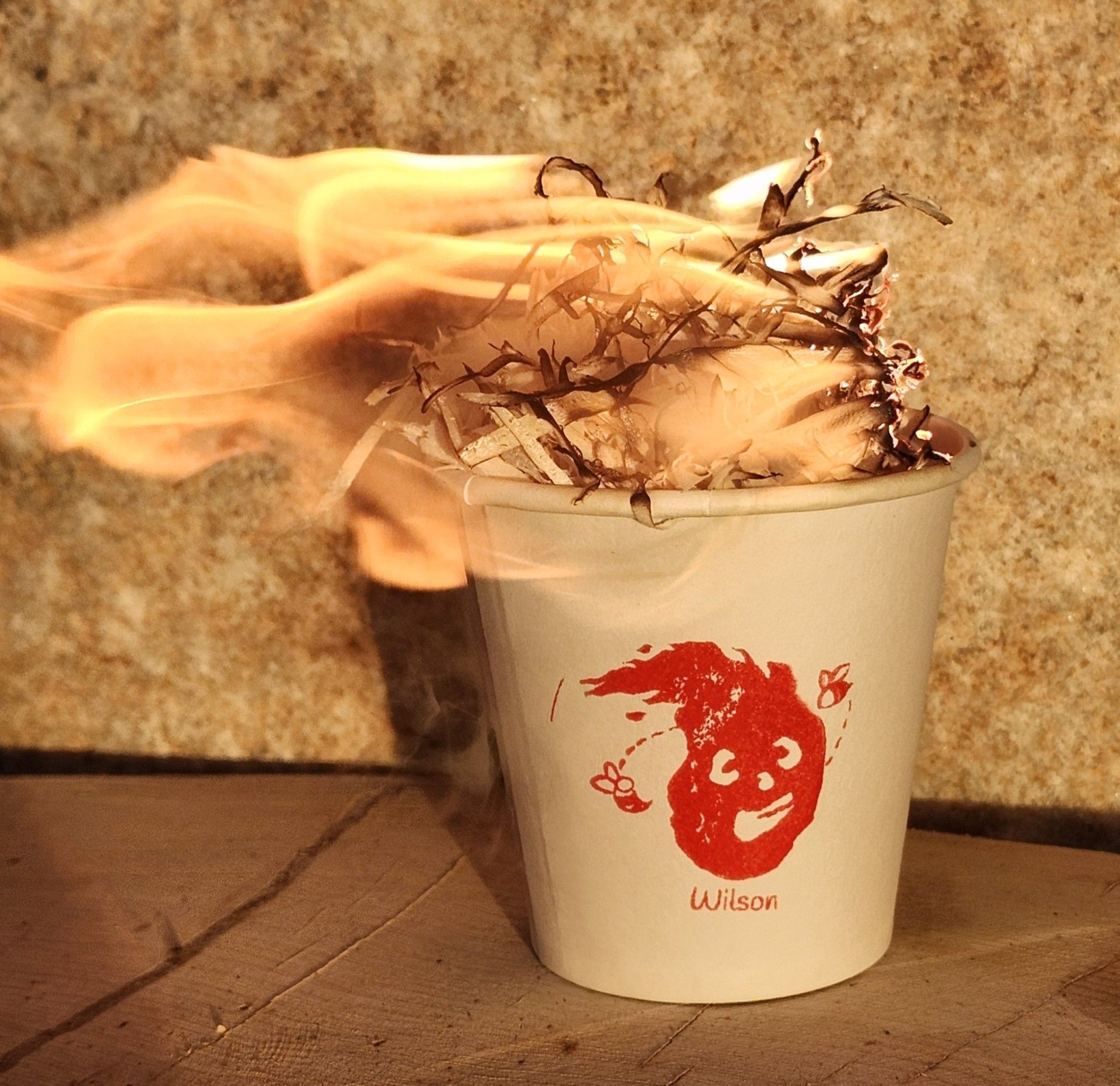 Huron Log Furniture sparks success with Wilson Fire Starter | Sault Star