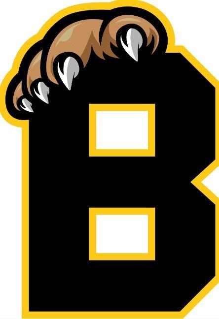 Brantford Bulldogs edge North Bay Battalion 3-2 | Brantford Expositor