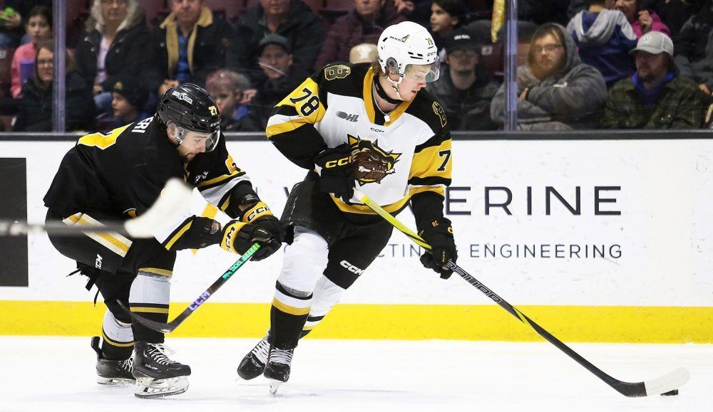 Sarnia Sting continue surge with win over Brantford Bulldogs | The ...