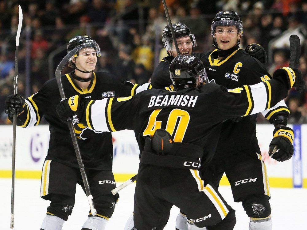 Internal competition fuels Sarnia Sting's success | The Sarnia Observer