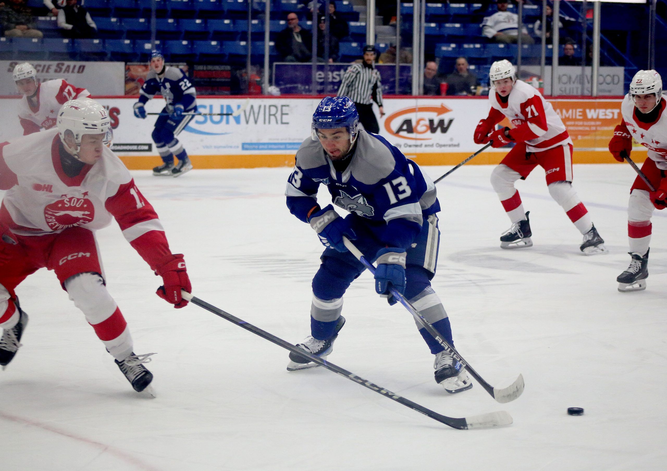 Sudbury Wolves stand pat with Delic, DeAngelis, McCoy at OA deadline ...
