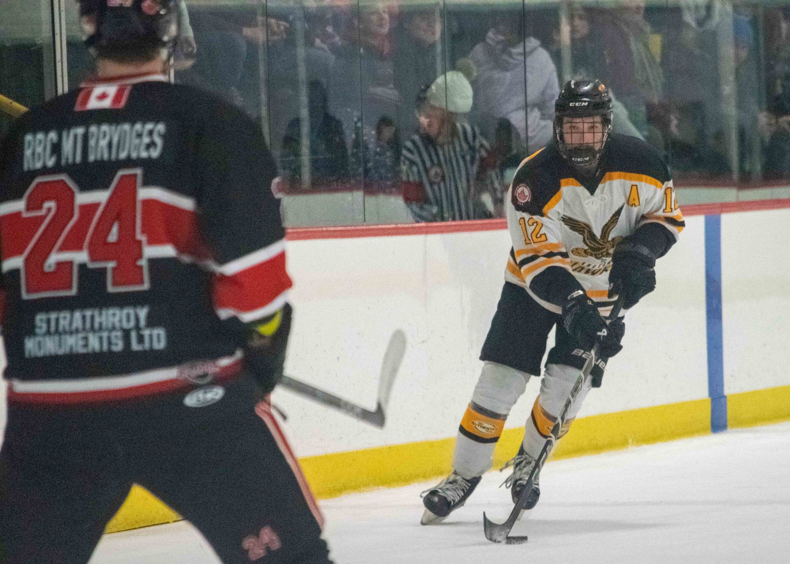 Sudbury Hockey News - NHL Scores, Standings, Schedule | Sudbury Star