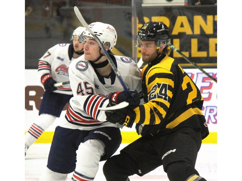 Thomas Budnick bolstering Brantford Bulldogs blue-line | Brantford ...