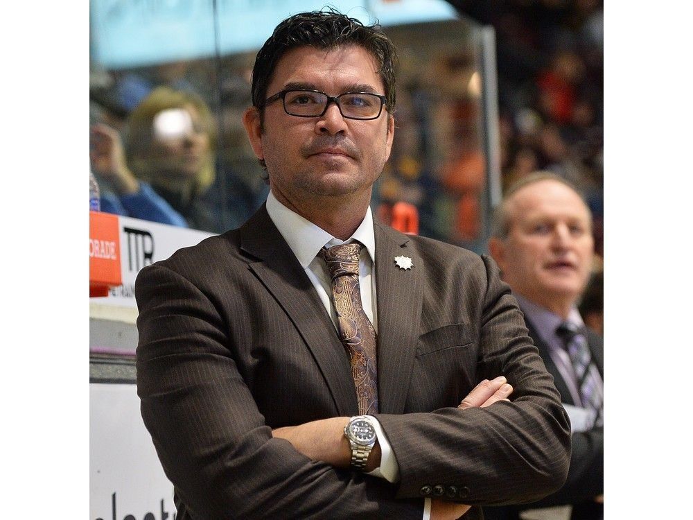 Sarnia Sting assistant coach David Matos resigns | The Sarnia Observer