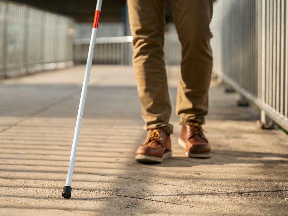 Celebrating Ability, Not Disability: White Cane Week to be marked in ...