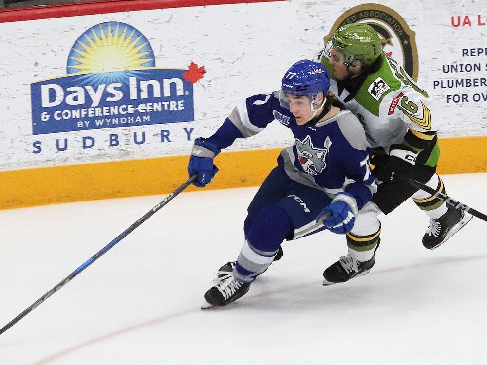 Rowan Henderson eyes big sophomore season with Sudbury Wolves | Sudbury ...