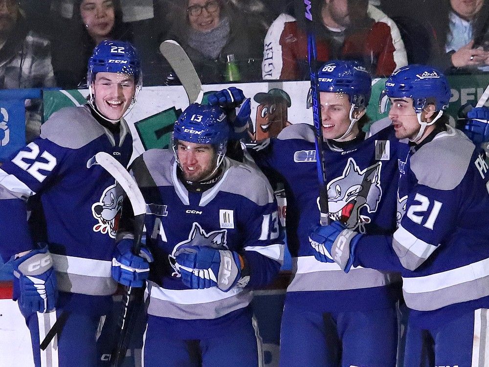 Sudbury Wolves convert mid-week momentum into win over Niagara IceDogs ...