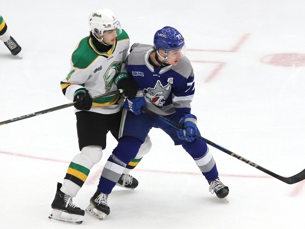 Effort against OHL powerhouse should prove something to Sudbury Wolves ...