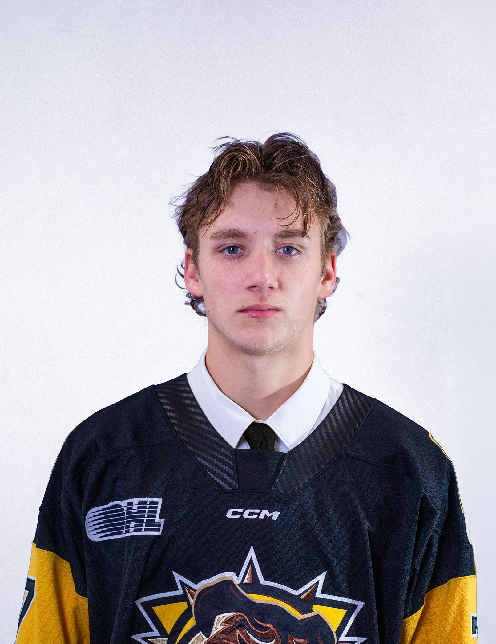 Brantford Bulldogs hot streak led by several performances | Brantford ...
