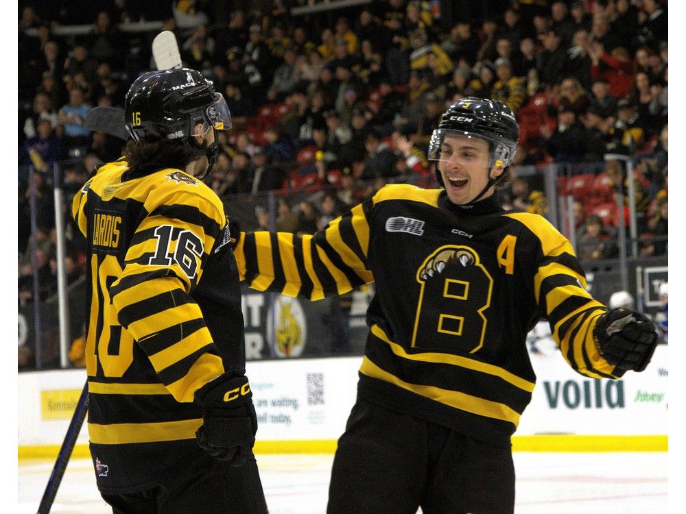 Brantford Bulldogs move to top of OHL's East Division | Brantford Expositor