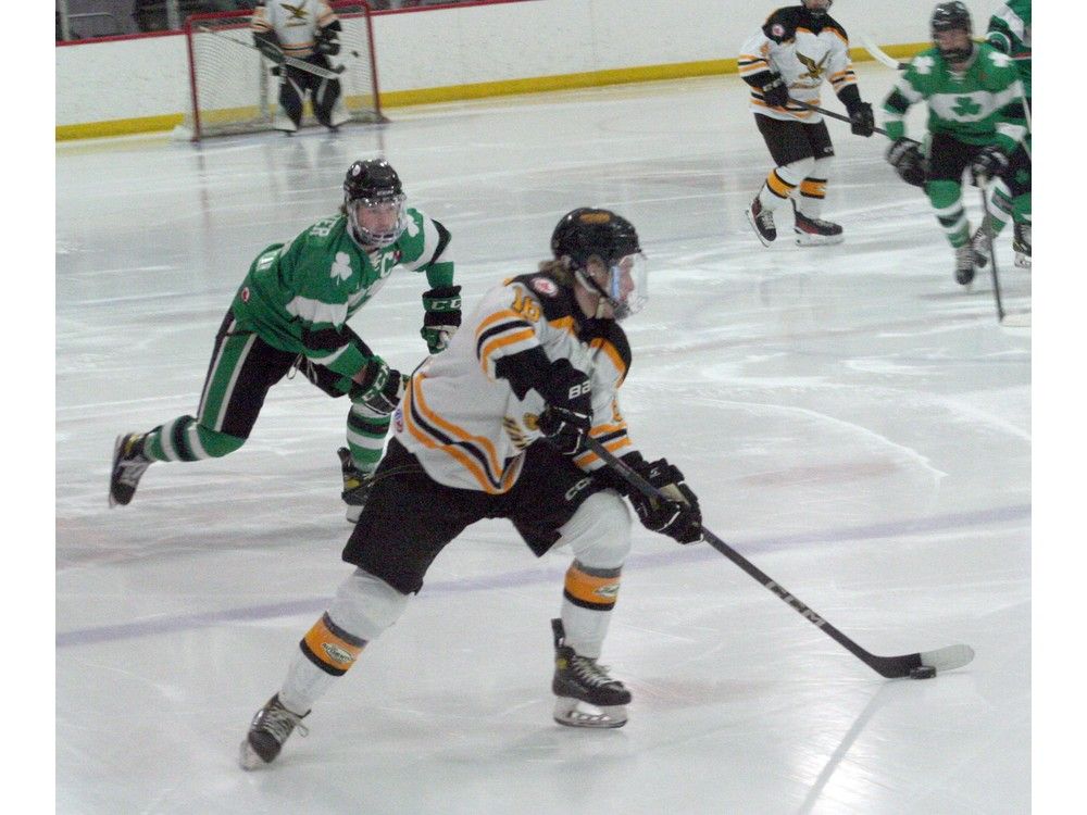 Hawks shut out Lucan Irish as regular season winds down | Exeter ...