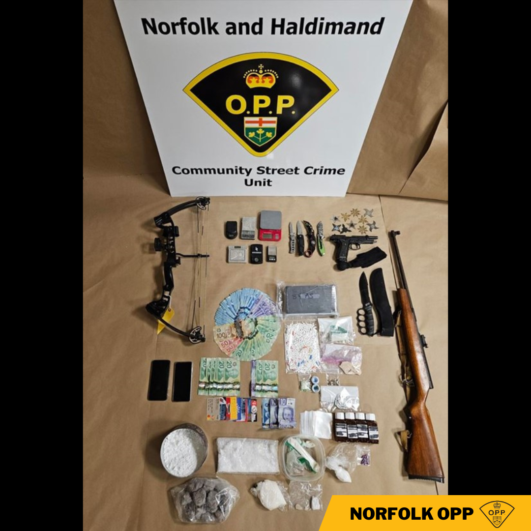 Two face charges after drug trafficking probe in Delhi, Port Dover ...