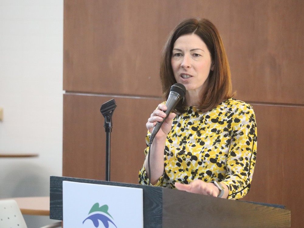 Fundraiser for hospital foundation, The Centre moves to Sarnia | The ...