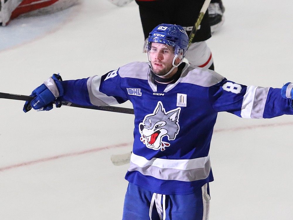 Sudbury Wolves spread scoring to beat Attack: story, gallery, video ...