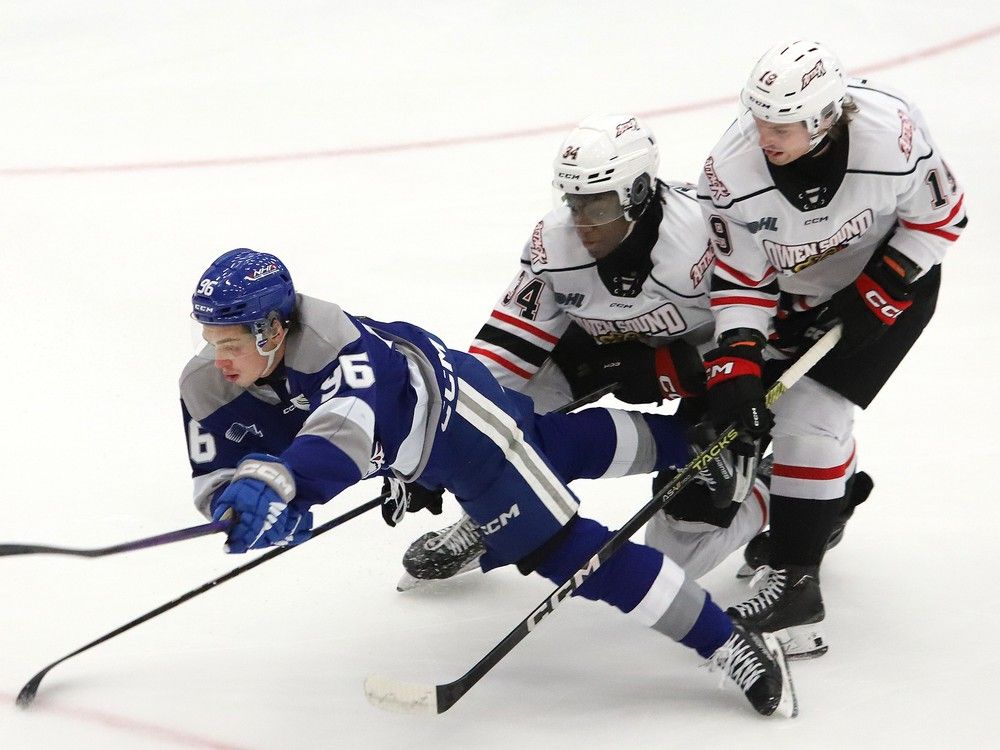 Sudbury Wolves spread scoring to beat Attack: story, gallery, video ...