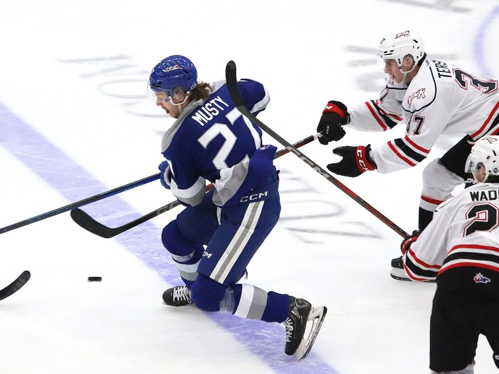 Sudbury Wolves spread scoring to beat Attack: story, gallery, video ...
