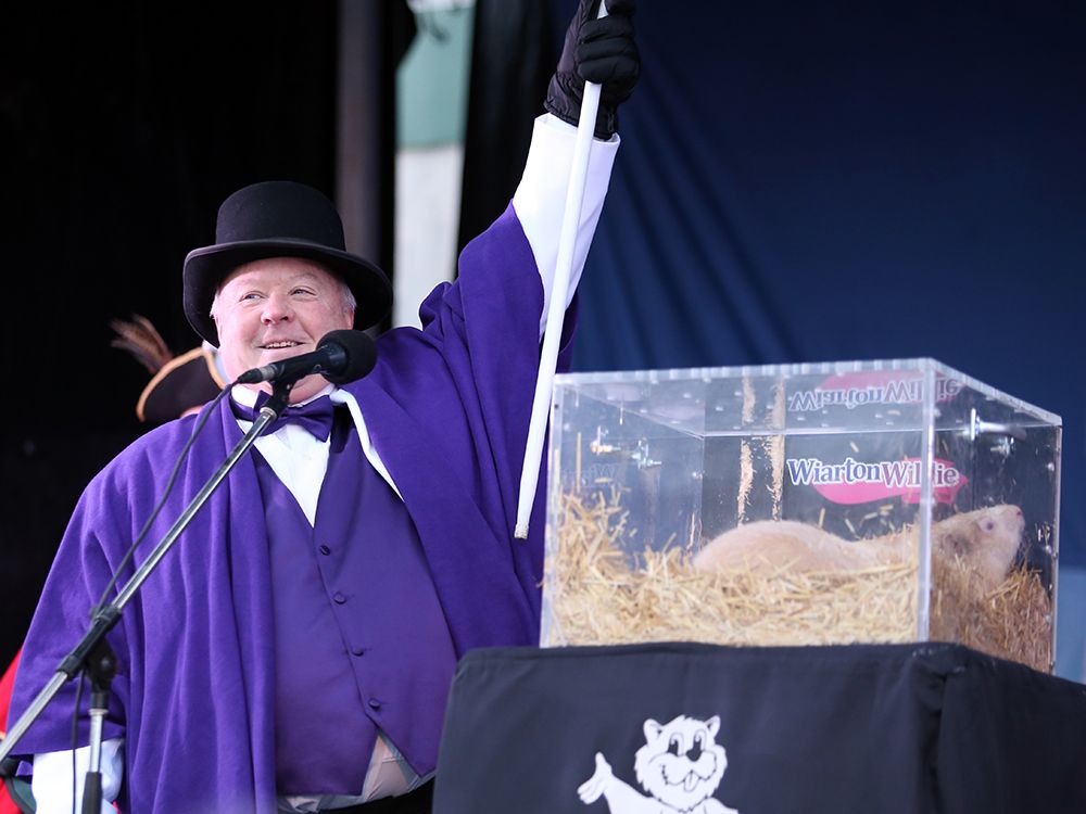 Wiarton willie prediction | Owen Sound Sun Times