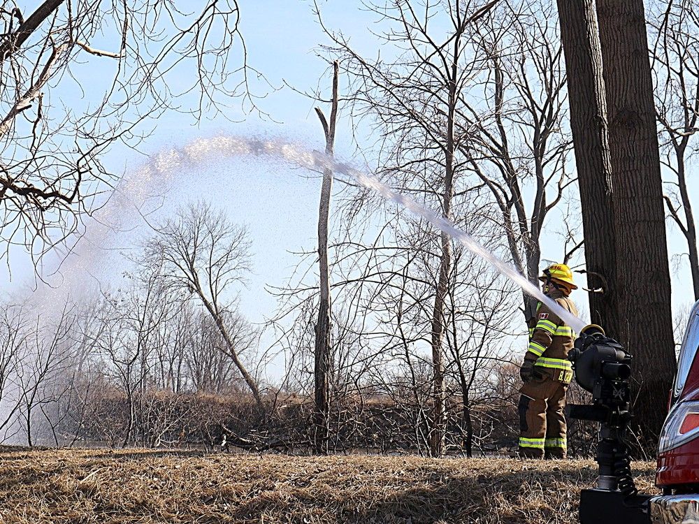 PHOTOS: Brush fire spans hundreds of metres along Thames River ...