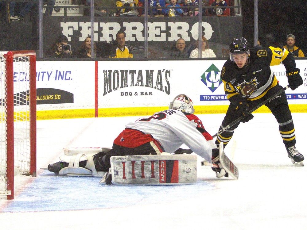 Brantford Bulldogs to face North Bay Battalion in playoffs | Brantford ...