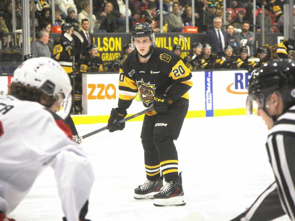 Brantford Bulldogs to face North Bay Battalion in playoffs | Brantford ...