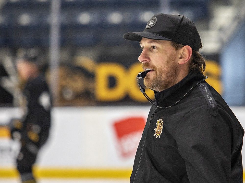 Brantford Bulldogs, head coach Jay McKee agree on extension | Brantford ...