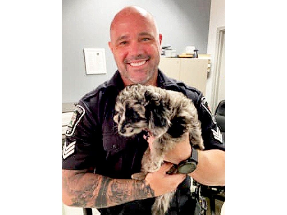 Hometown pride as Rich Swann named Gan police chief | Brockville ...