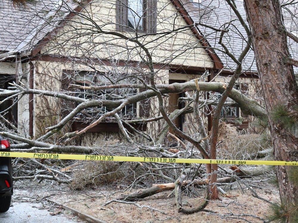 Kingston resident injured from falling branch following ice storm | The ...