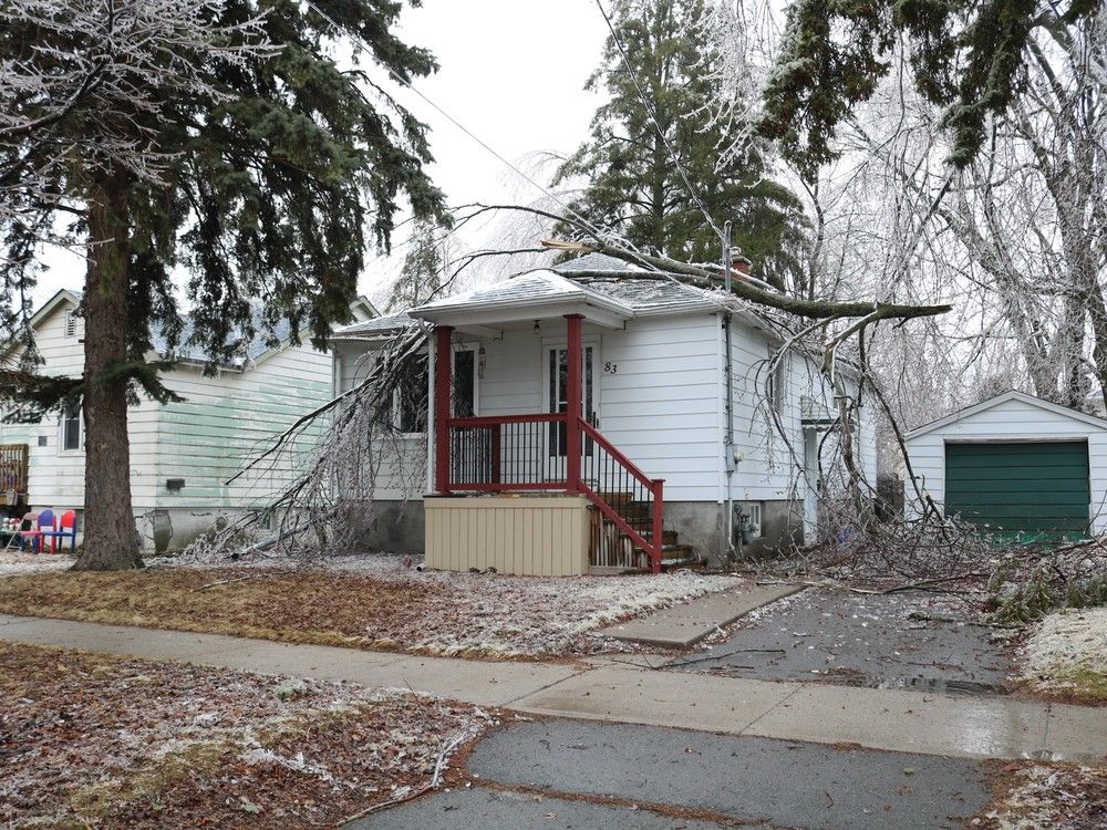 Day two of ice storm brings hydro outages and more fallen tree debris ...