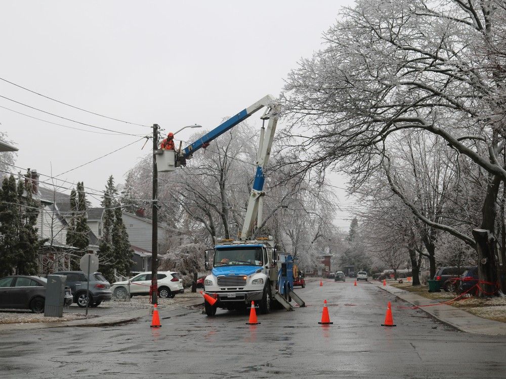 Day two of ice storm brings hydro outages and more fallen tree debris ...
