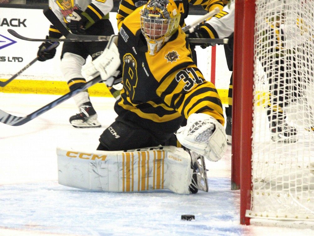 Brantford Bulldogs open playoffs with win | Brantford Expositor