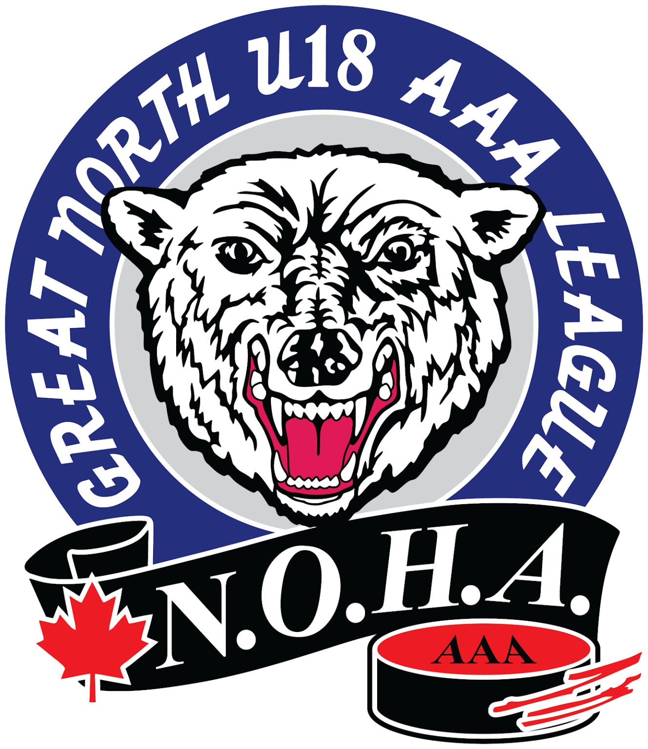 Jr. Hounds and Team NOHA at OHL Cup | Sault This Week