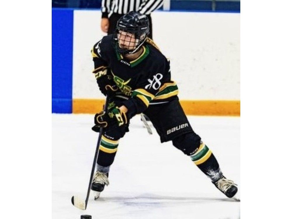 Madison Burr heading to Minnesota Duluth to play hockey | Brantford ...