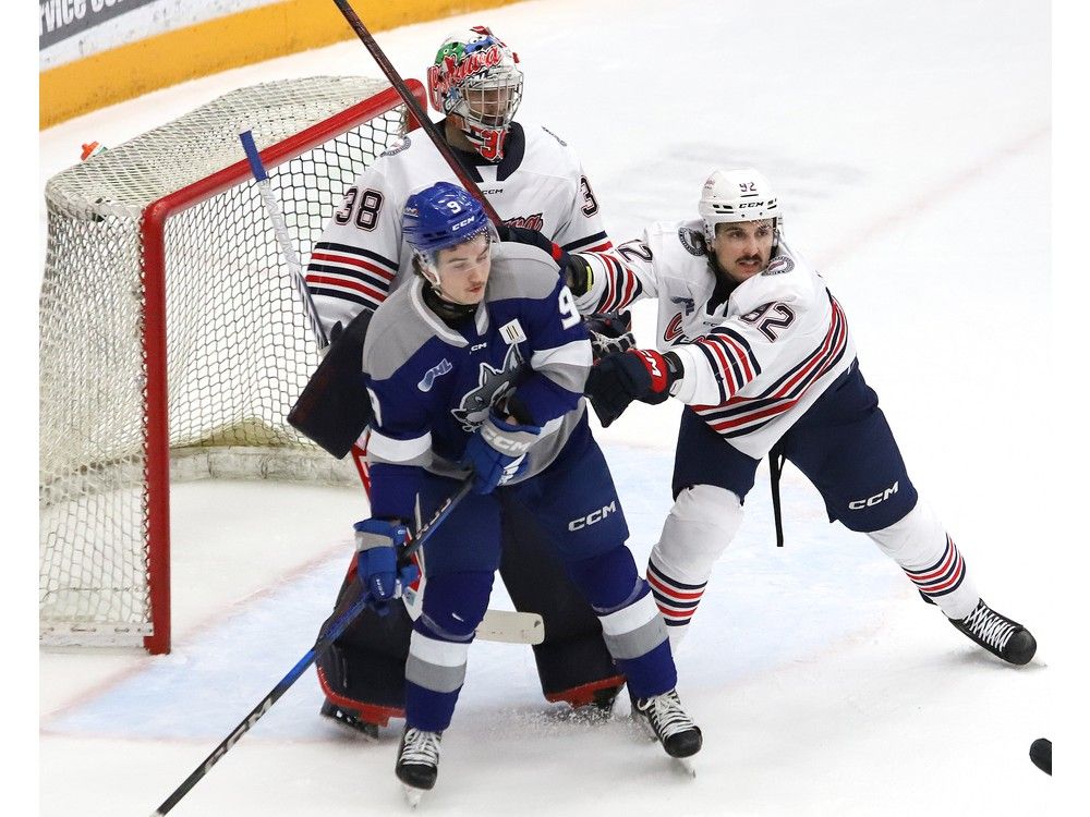 Hudson Chitaroni, Quentin Musty each net three points in Wolves win ...