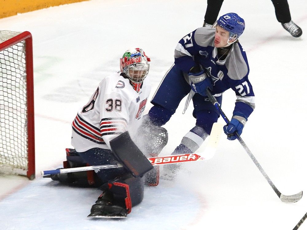 Sudbury Wolves winger Quentin Musty named OHL Player of the Week ...
