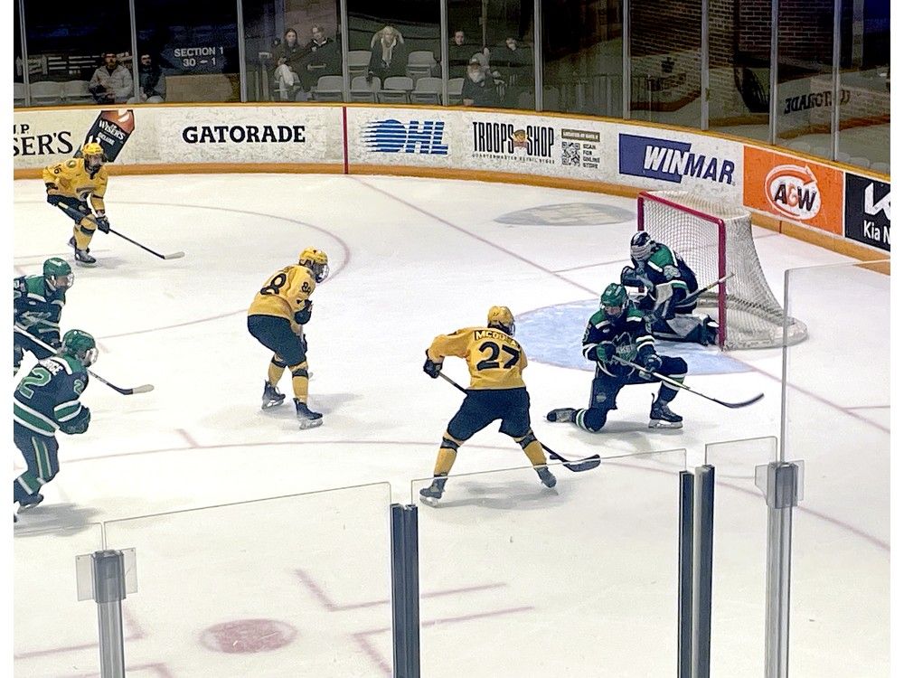 Nipissing Lakers season ends with double OT loss to Waterloo | North ...