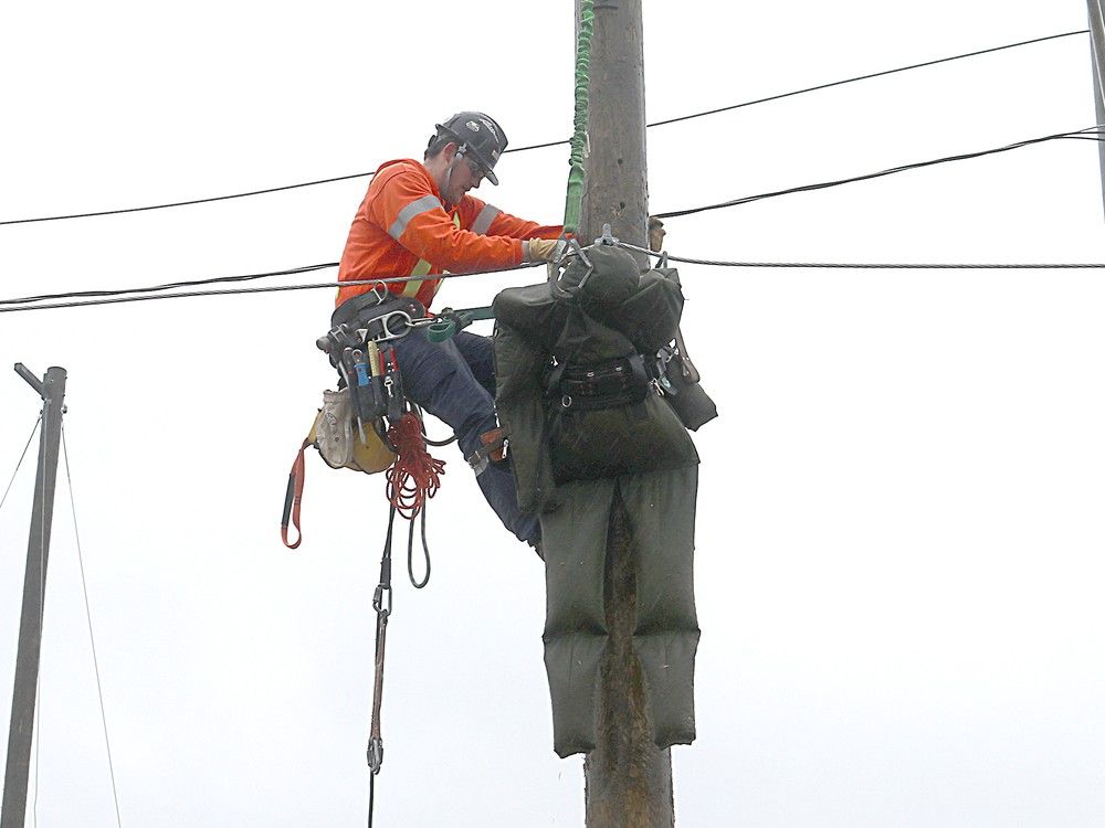 Cold, wet weather adds extra challenge to St. Clair's Powerline Rodeo ...