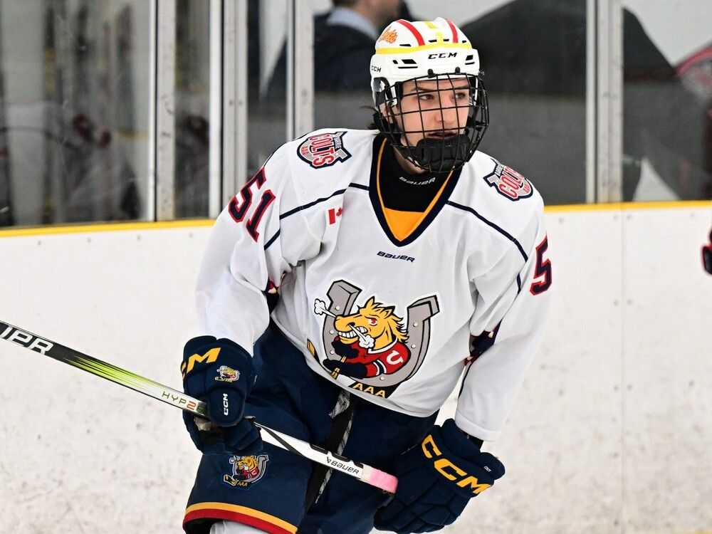 Ottawa 67's got wish granted in form of Sault’s Brock Chitaroni | Sault ...